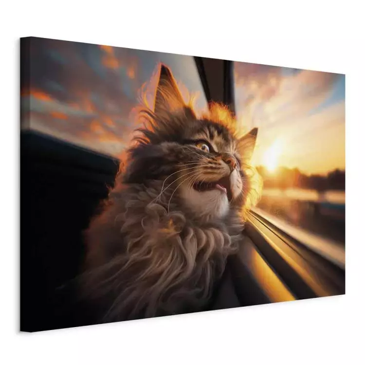 Cadre mural Chat maine coon AI - animal en voyage vers le soleil ...