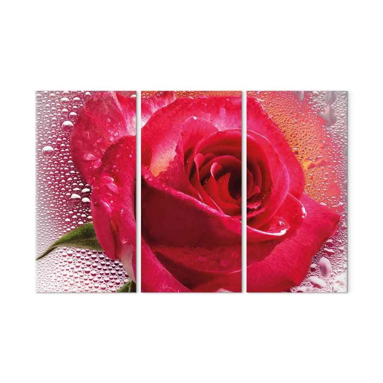Peinture roses, tableau fleur rose, peinture de rose, tableau rose ...