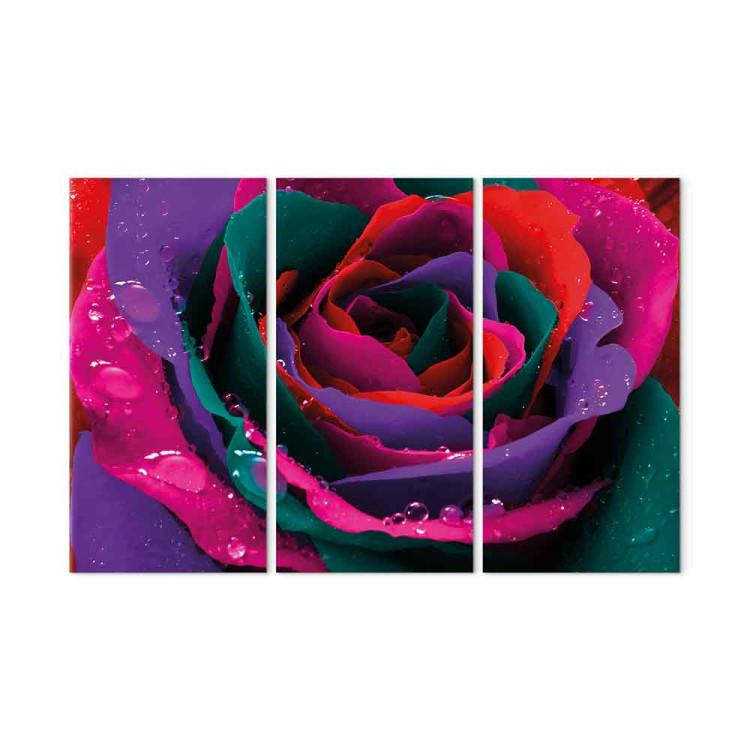 Peinture roses, tableau fleur rose, peinture de rose, tableau rose ...